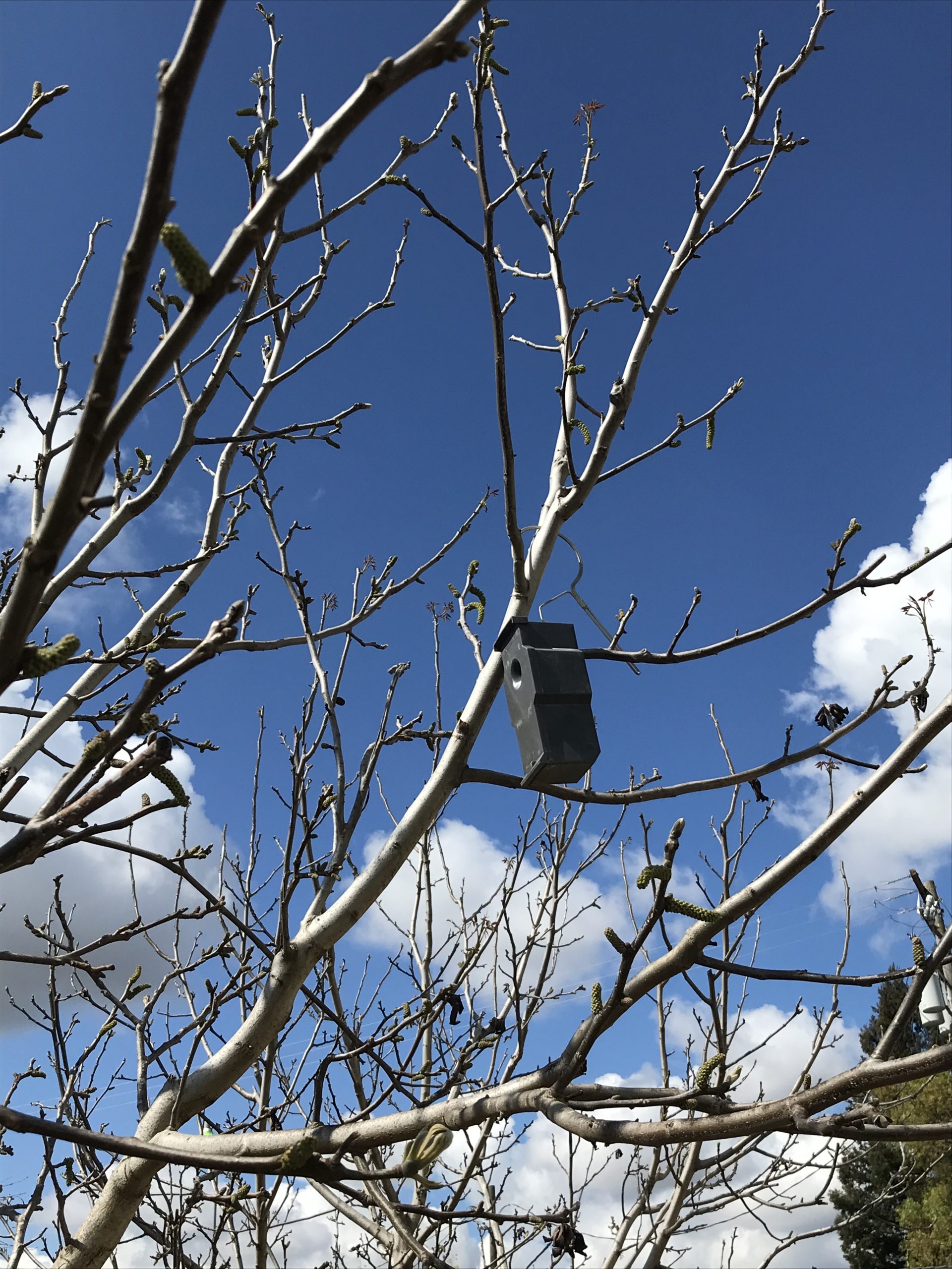 How We Grow It | Ferrari Farms